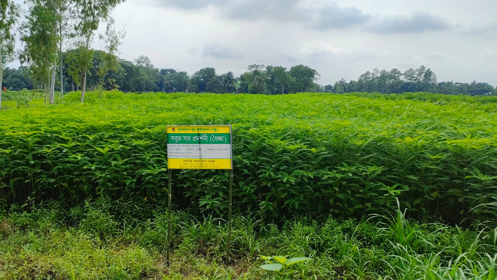 Photos of Bangladesh Bondhu Foundation (BONDHU) (BONDHU)