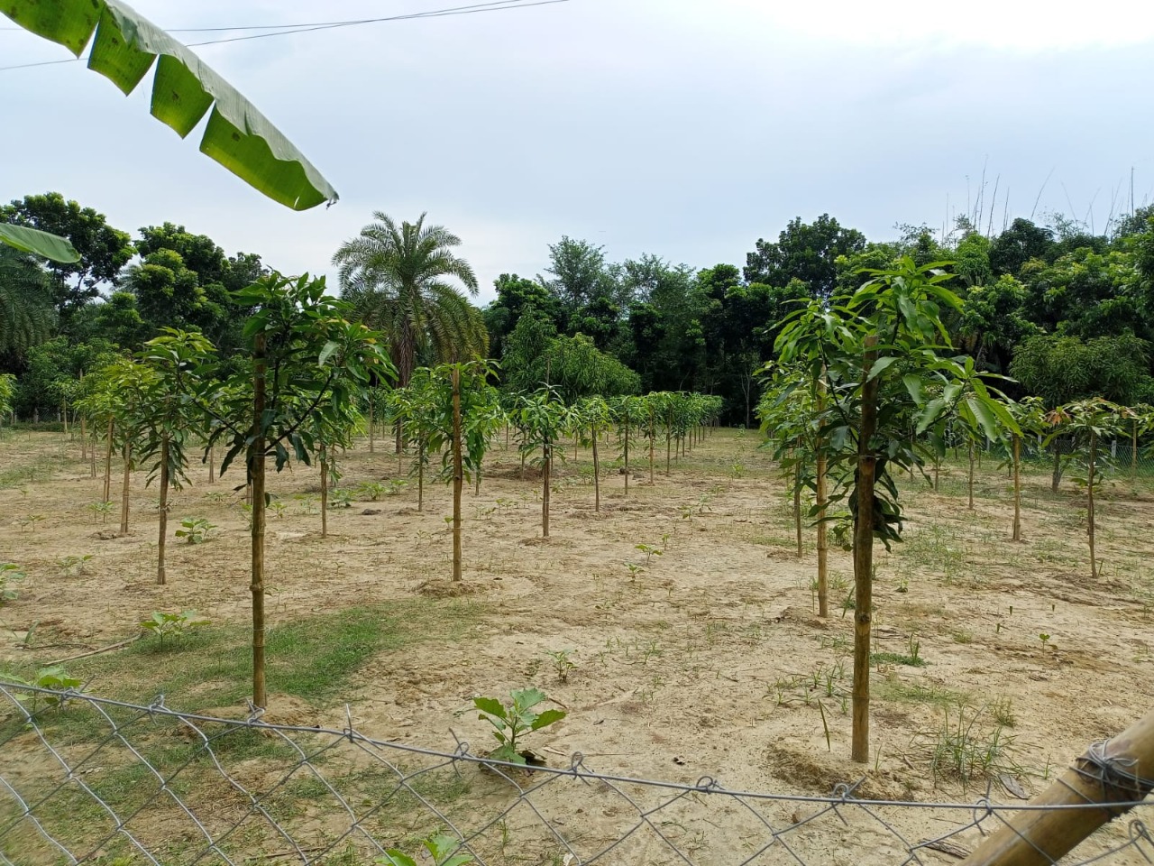 Photos of Bangladesh Bondhu Foundation (BONDHU) (BONDHU)